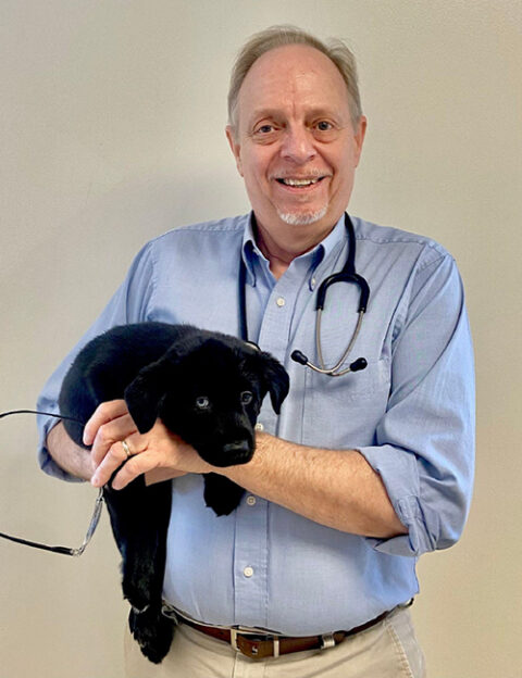 Best Vet Hospital In Peoria, IL | Brown Animal Hospital