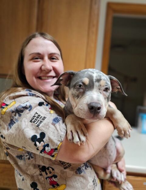 Best Vet Hospital In Peoria, IL | Brown Animal Hospital